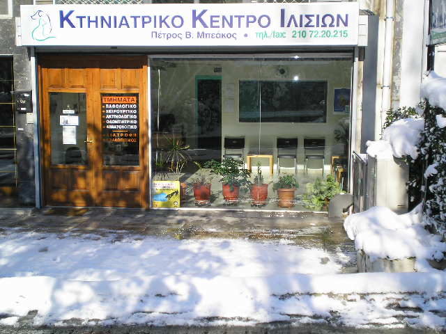 ΚΤΗΝΙΑΤΡΙΚΟ ΚΕΝΤΡΟ ΙΛΙΣΙΩΝ: Χιόνια στο... κτηνιατρείο