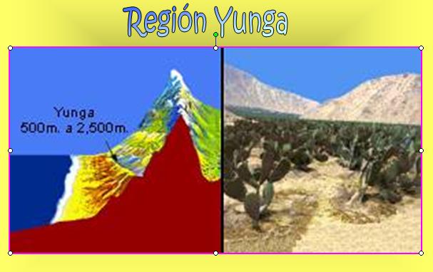 Las Ocho Regiones Naturales del Perú: REGION YUNGA