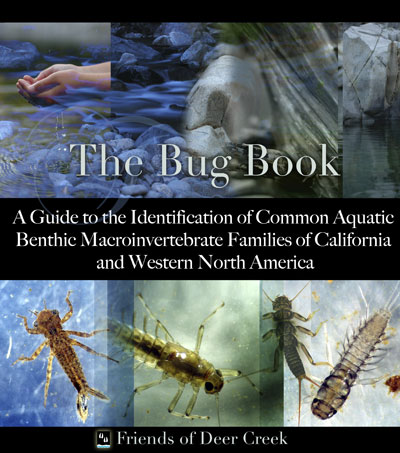 Christine Elder Art & News: New Insect Book Published