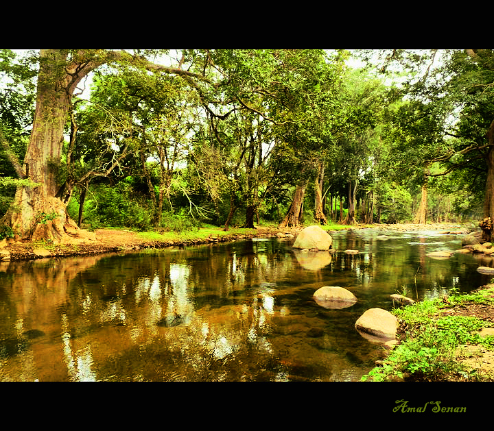 Kerala Holiday Updates