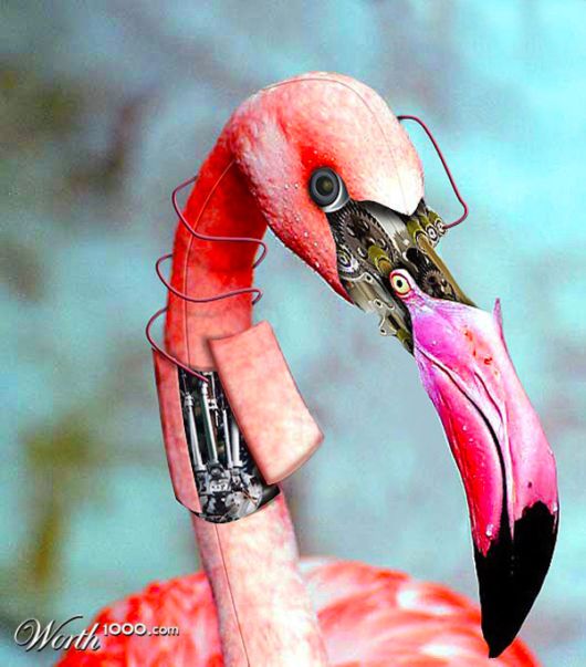 Pictures Gallery: Cool Robotic Animals