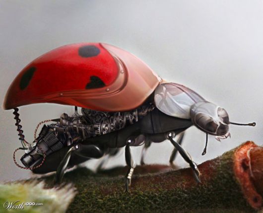 Pictures Gallery: Cool Robotic Animals