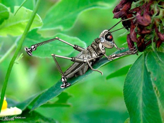 Pictures Gallery: Cool Robotic Animals