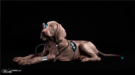 Pictures Gallery: Cool Robotic Animals