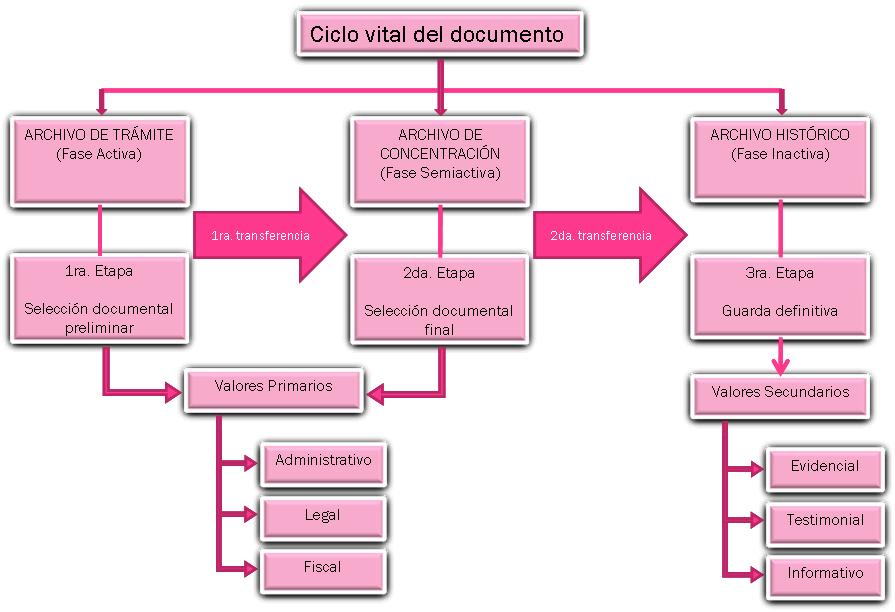 Ciclo de Vida del Documento