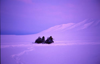 village of fun: Purple Snow - Multi-Colored Snowfall Russia