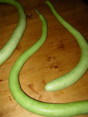 Mister Meatball: The Googootz