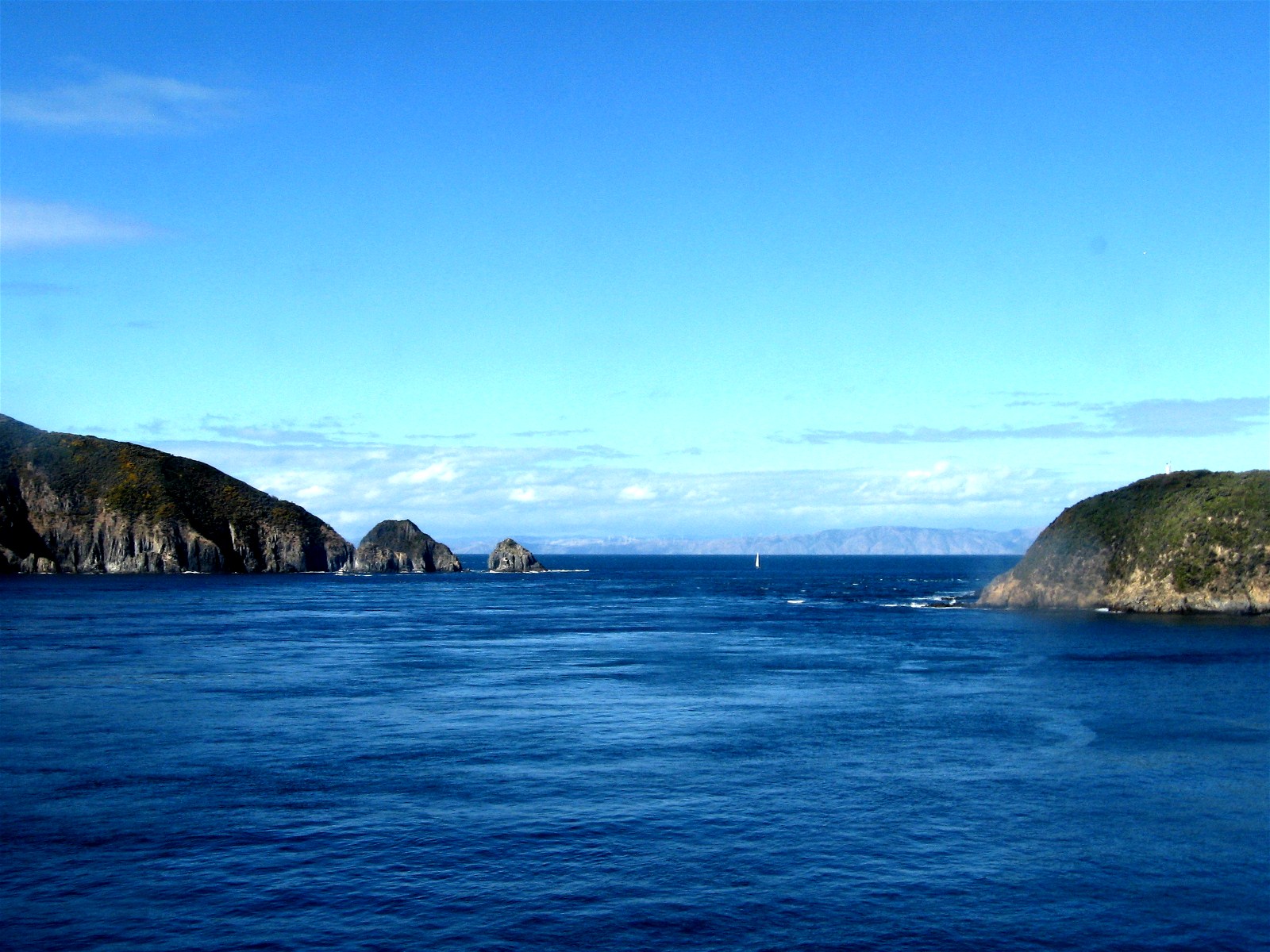 Blogging Middle Earth: N.I.T.: To Picton & Beyond