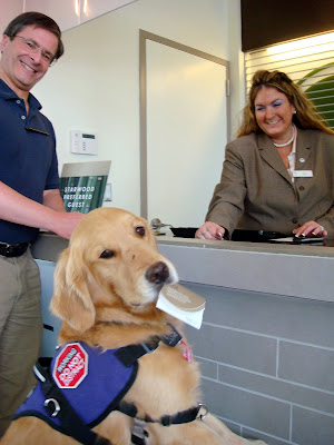 A Service Dog's Journey