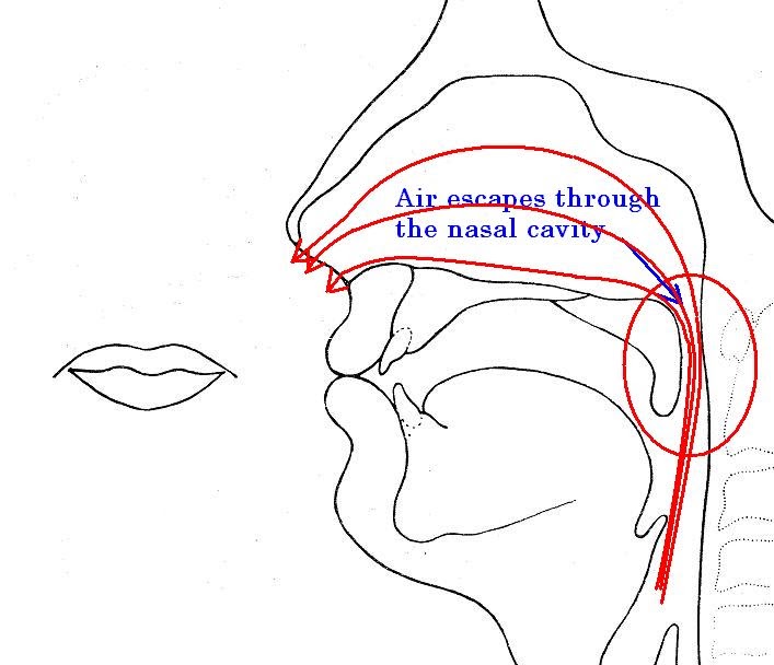 Alpozo's Phonetic Blog: PLOSIVE STORY /p/ /b/ /t/ /d/ /k/ /g/