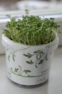 Älskade vardag: Vattenkrasse ger känning av våren