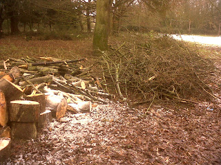 Whitwell Hall Country Centre: Estate Work carried out by Scouts.