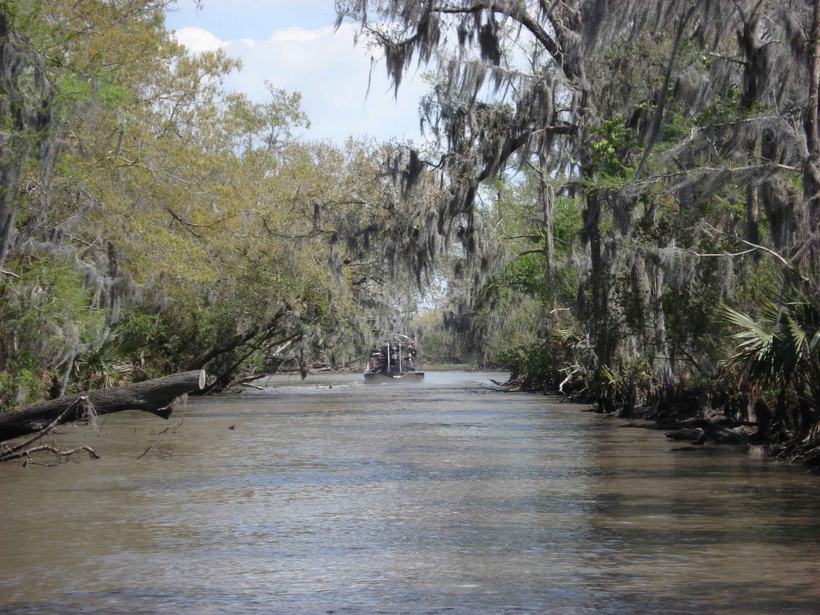 Notre vie à Chicago: Swamp tour