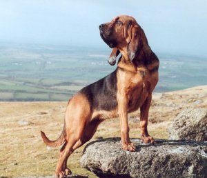 Tower of the Archmage: 01/01/2011 - 02/01/2011