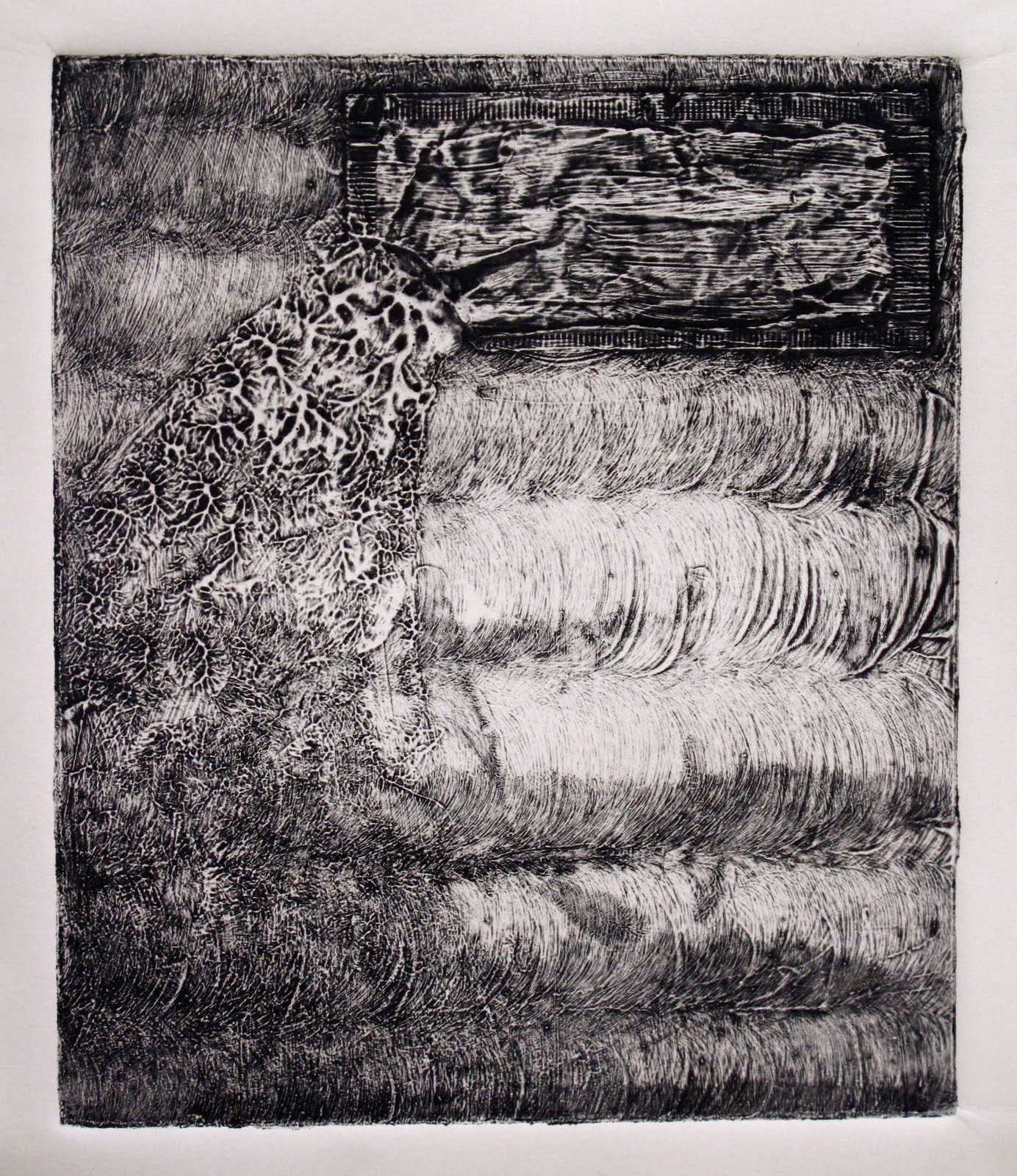 alexbclark: collagraph