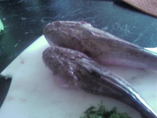 Moja kuhinja: studenoga 2010