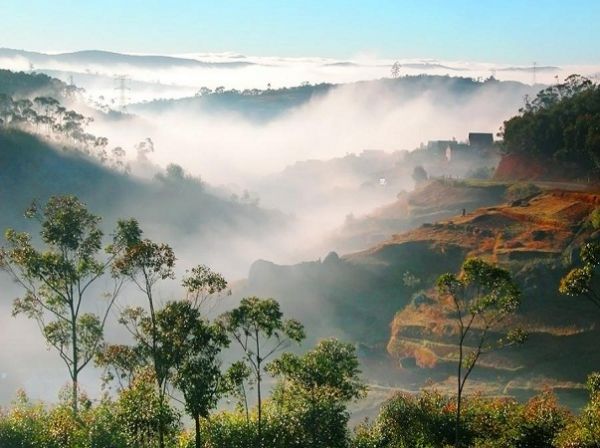 Berbagi Hal Positif: Foto-Foto Suasana Pagi yang Tenang
