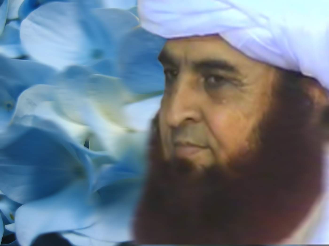 mian muhammad hanafi saifi: mian muhammad hanafi saifi