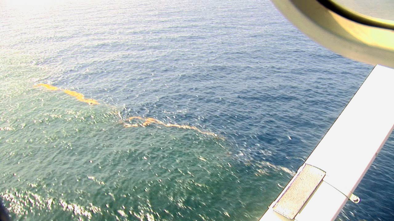 American Zombie: Anatomy of an Oil Spill, Part I