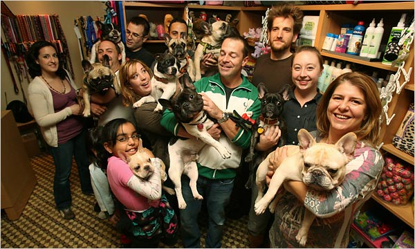 Joey in Astoria: Astoria's Famous Bulldogs