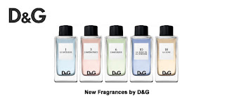 Perfume and Cologne Reviews!: D & G Fragrances