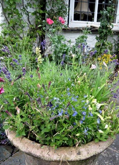 Flutterby Patch: July 2010