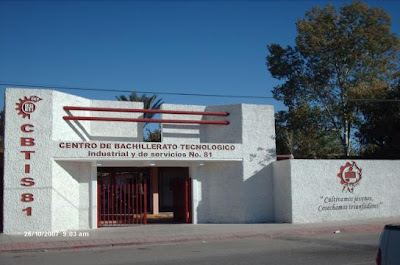 historia de la cbtis81