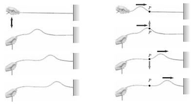 Physics Complete: Wave Motion and its Variables