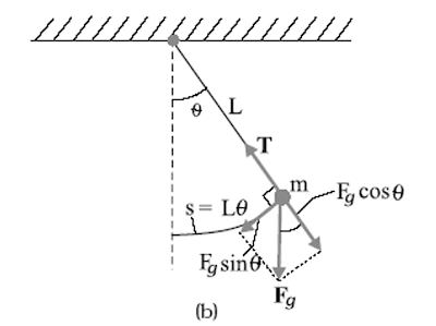 Physics Complete: Simple Pendulum and SHM