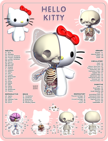 LA CIENCIA DE LA VIDA: LA ANATOMÍA INTERNA DE HELLO KITTY 2