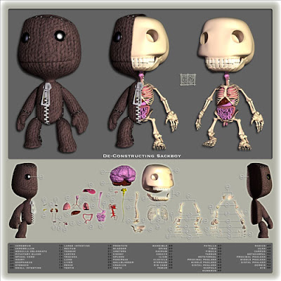 LA CIENCIA DE LA VIDA: LA ANATOMÍA INTERNA DE UN SACKBOY