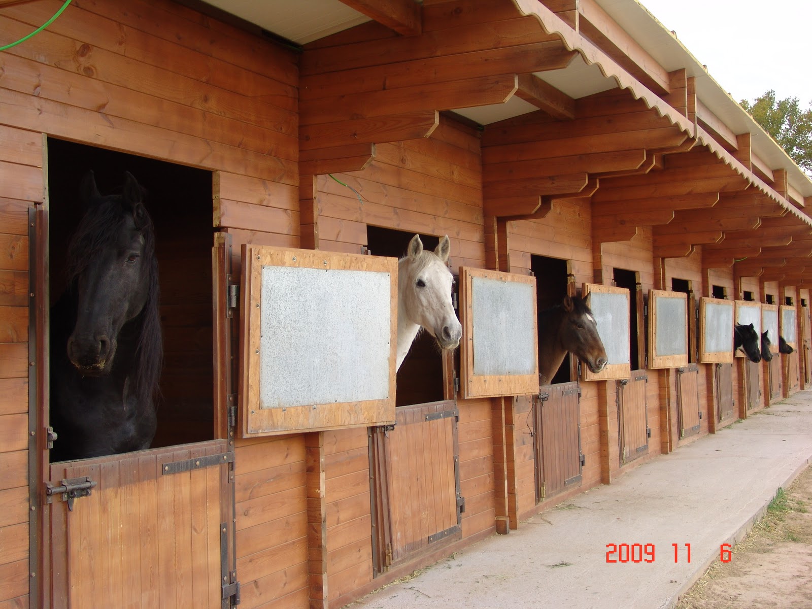 CENTRO ECUESTRE DANCO NATURA