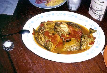 Miau Wantz Her Fillet: Piranha in Tomato Sauce Recipe