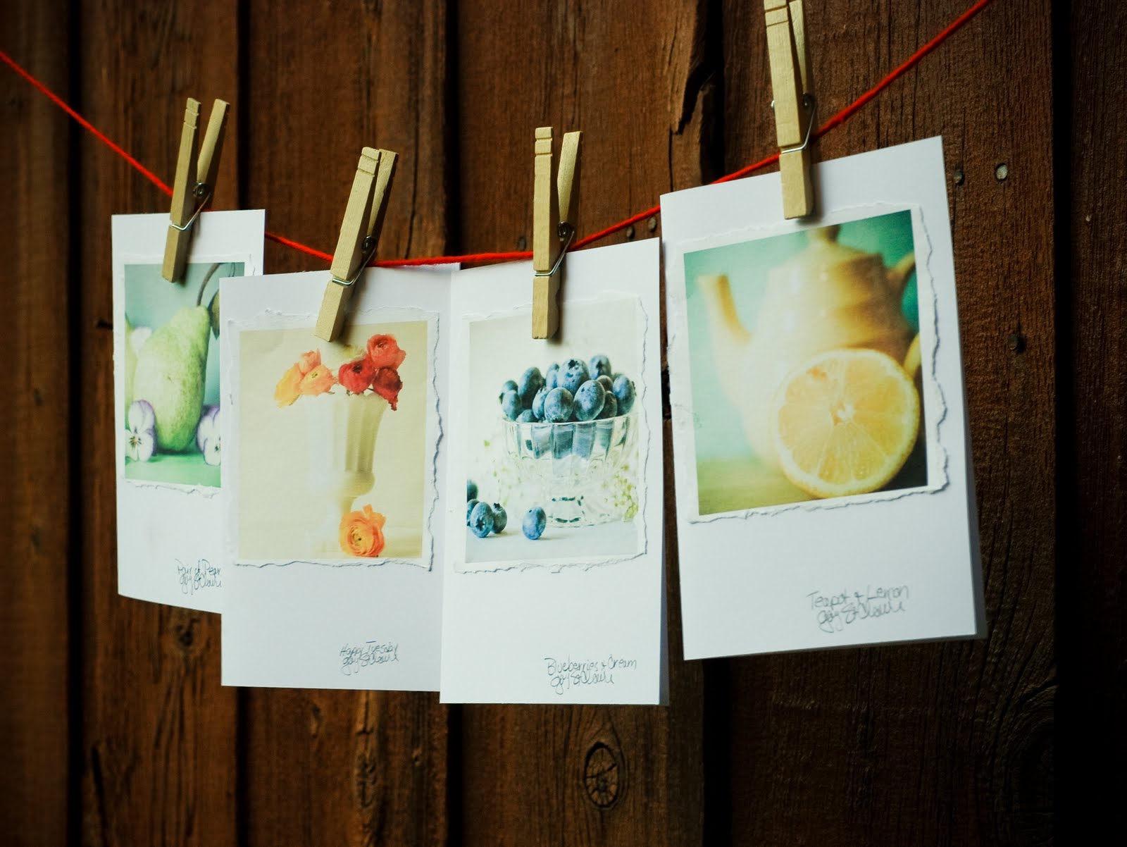 Oh Joy! Photography: 2011 Calendars & Note Cards {Central Ohio Fine Art ...