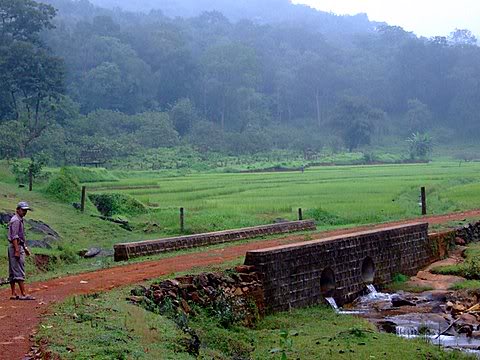 Anshi National Park - JungleKey.fr Wiki
