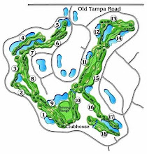 A Beautiful Florida Home: The Outdoor Living Area (Pool, Lanai, Outdoor ...