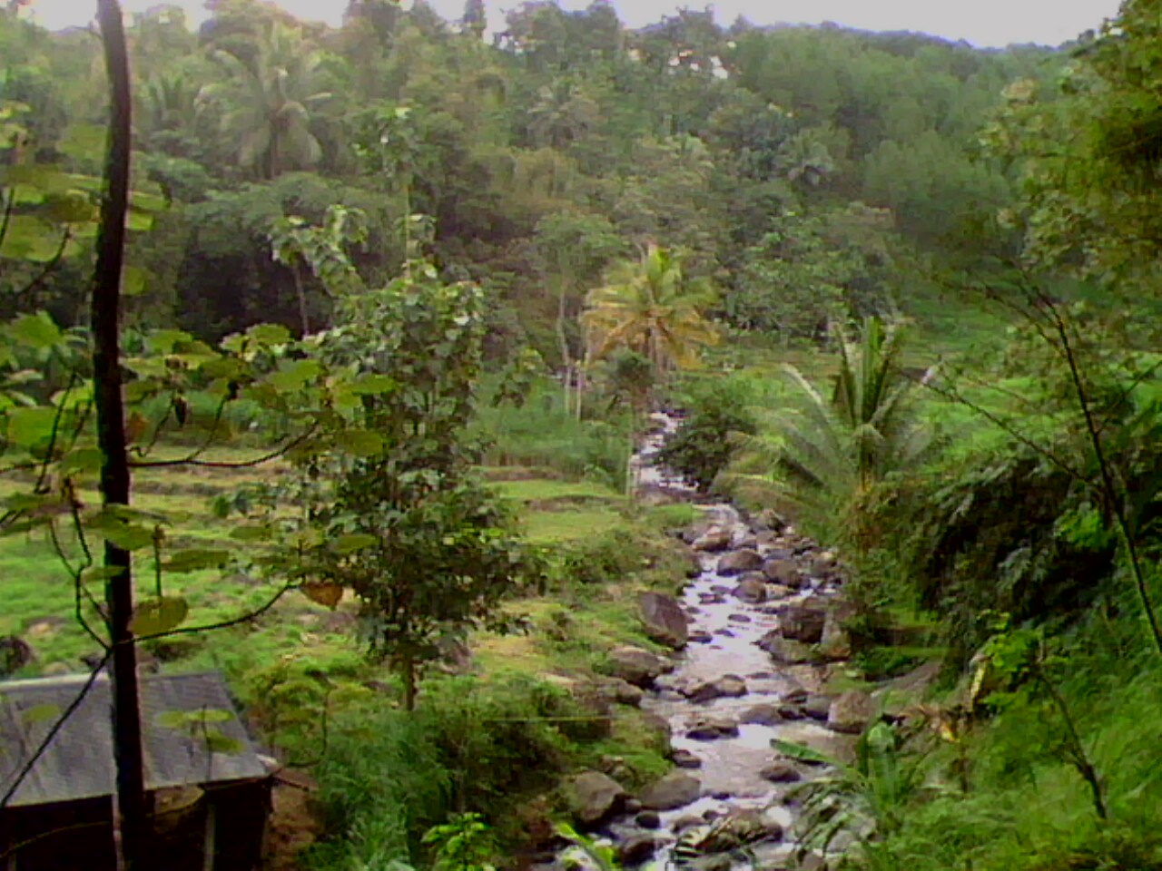 Sendang Desa Wisata: Panorama