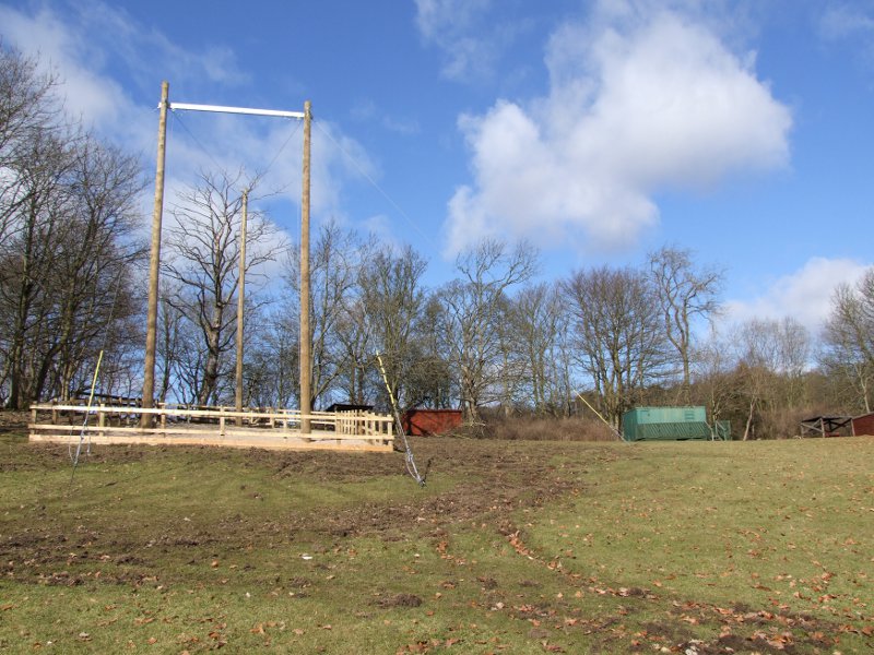 Fordell Firs Blog: King Swing