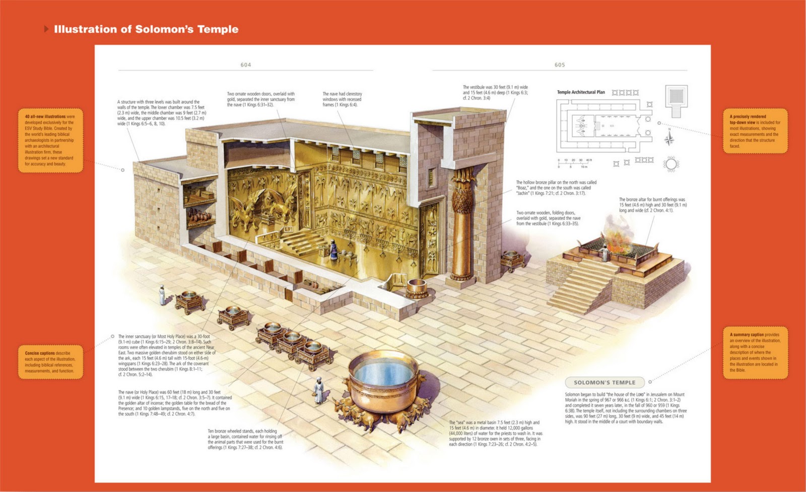 MIRACLE A.G.CHURCH: ALL PAGES