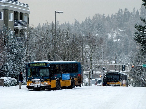Shoreline Area News: Metro Transit on snow watch for Wednesday