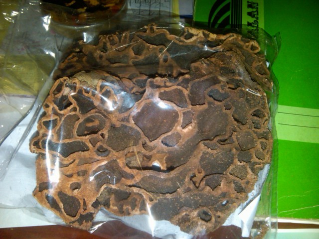 Cara Hidup Sehat: Mau Tahu Khasiat Sarang Semut?