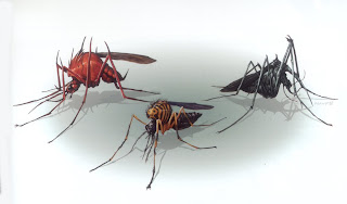 Furahan Biology and Allied Matters: A Natural history of Skull Island