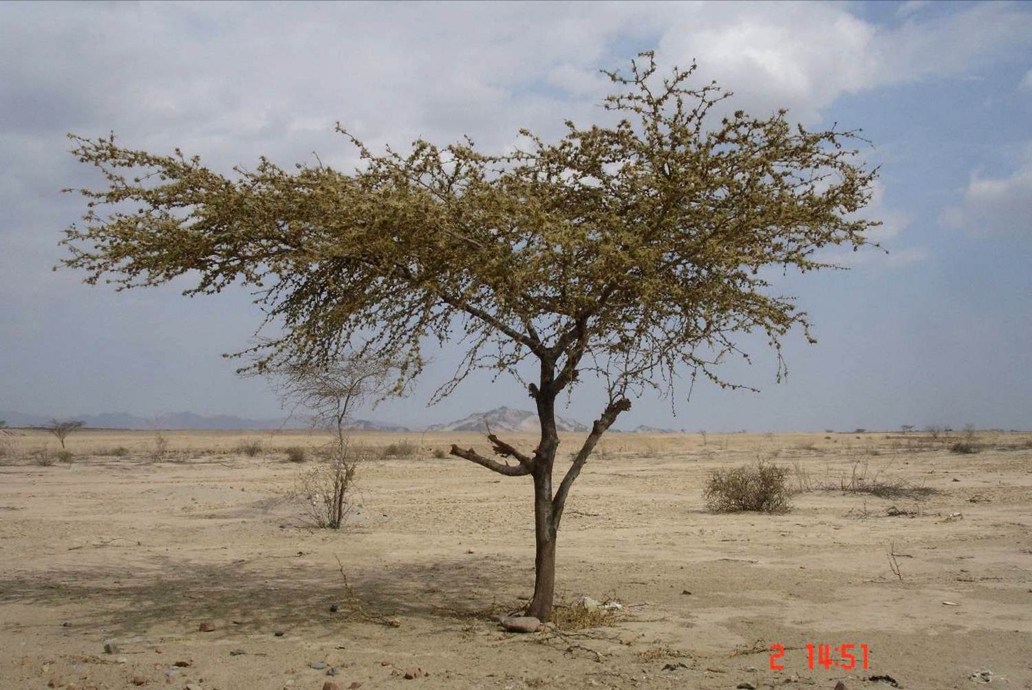 ATV EDUCA: ESTUDIANTES Y DOCENTES RECIBIERON CAPACITACIÓN SOBRE EL ...