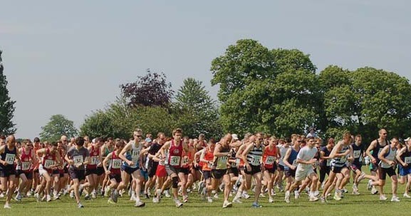 London Masala and Chips: Eltham Park 5: Running up that hill