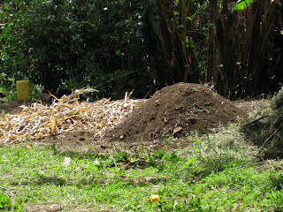 - Sail away from the safe harbor. Explore. Dream. Discover.: Growing ...