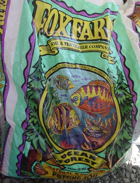 Cathy and Dave's Blog: Compost Comparison Experiment for Work :)