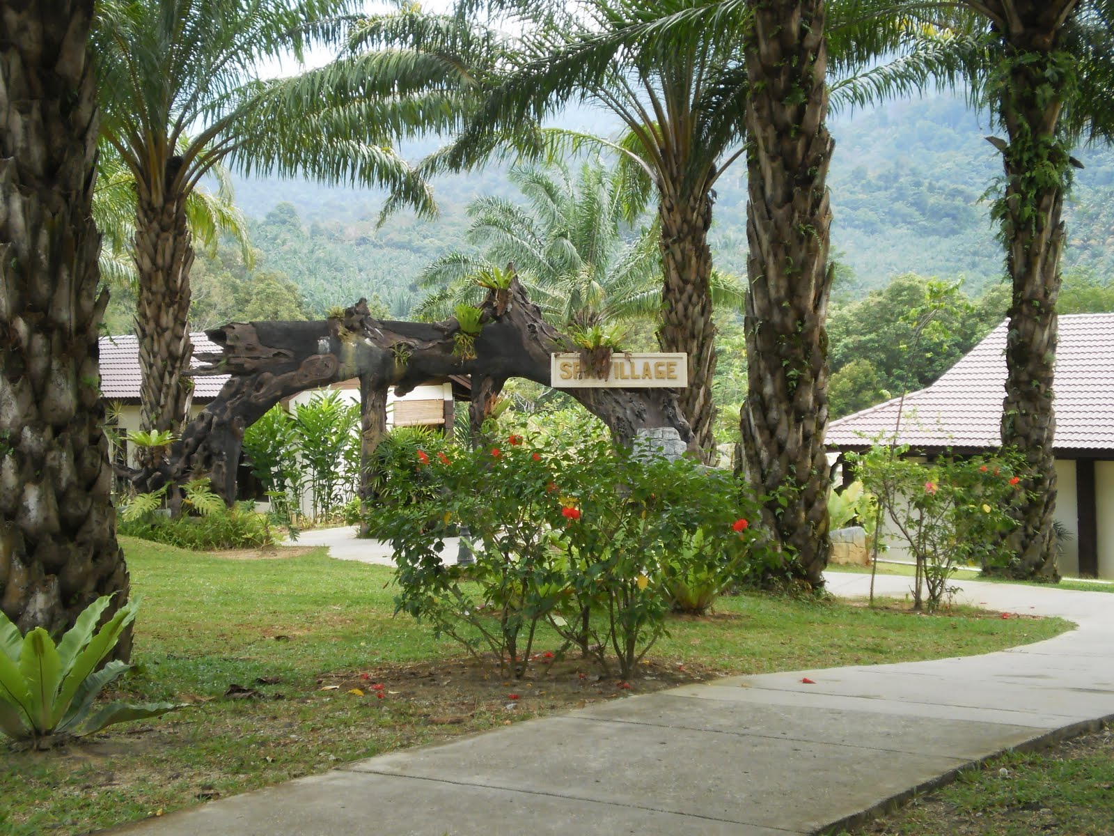 Percutian Kedua di Kolam Air Panas Sg. Klah, Sungkai, Perak - Enchanted ...