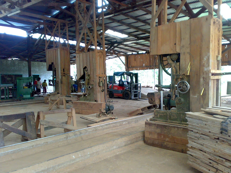 CITRA WIRON MANDIRI: INDUSTRI PENGOLAHAN KAYU