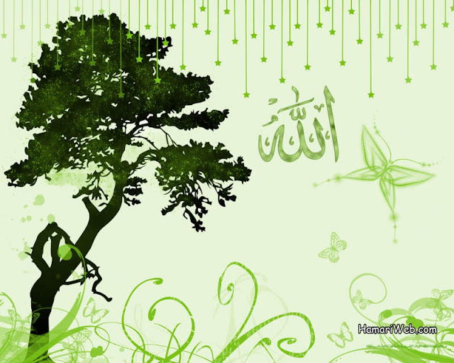 Allah Name with Tree - Islamic Wallpapers, Kaaba, Madina, Ramadan, Eid ...