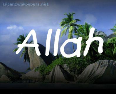 Allah Name with Trees - Islamic Wallpapers, Kaaba, Madina, Ramadan, Eid ...
